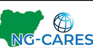 Apply now: NG-Cares business fund 2024 - SMALL BUSINESS INSIGHTS